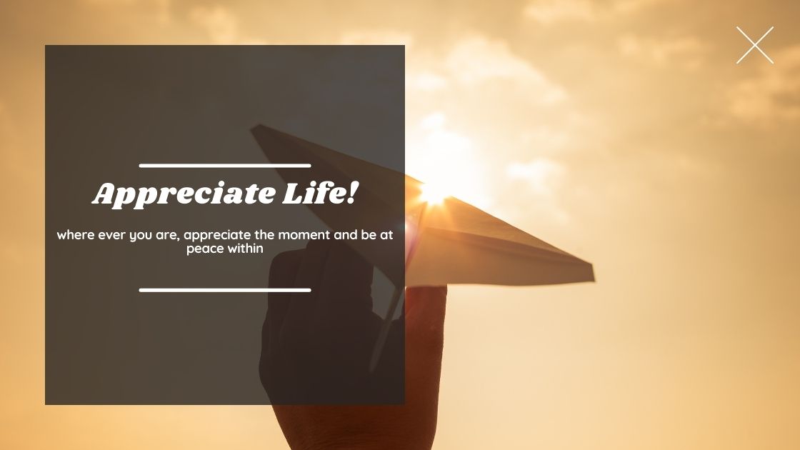 Appreciating Life! | Positivseeds